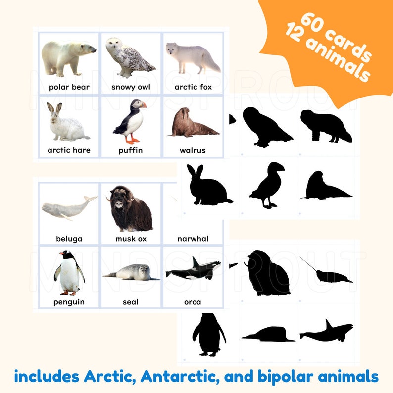 POLAR ANIMALS Montessori Nomenclature 3 Part Cards Shadow Matching Card ...