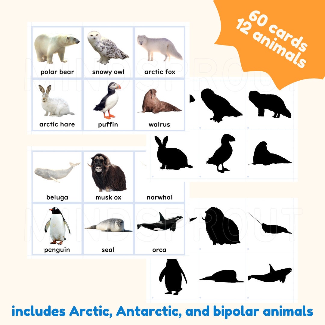 POLAR ANIMALS Montessori Nomenclature 3 Part Cards Shadow Matching Card ...