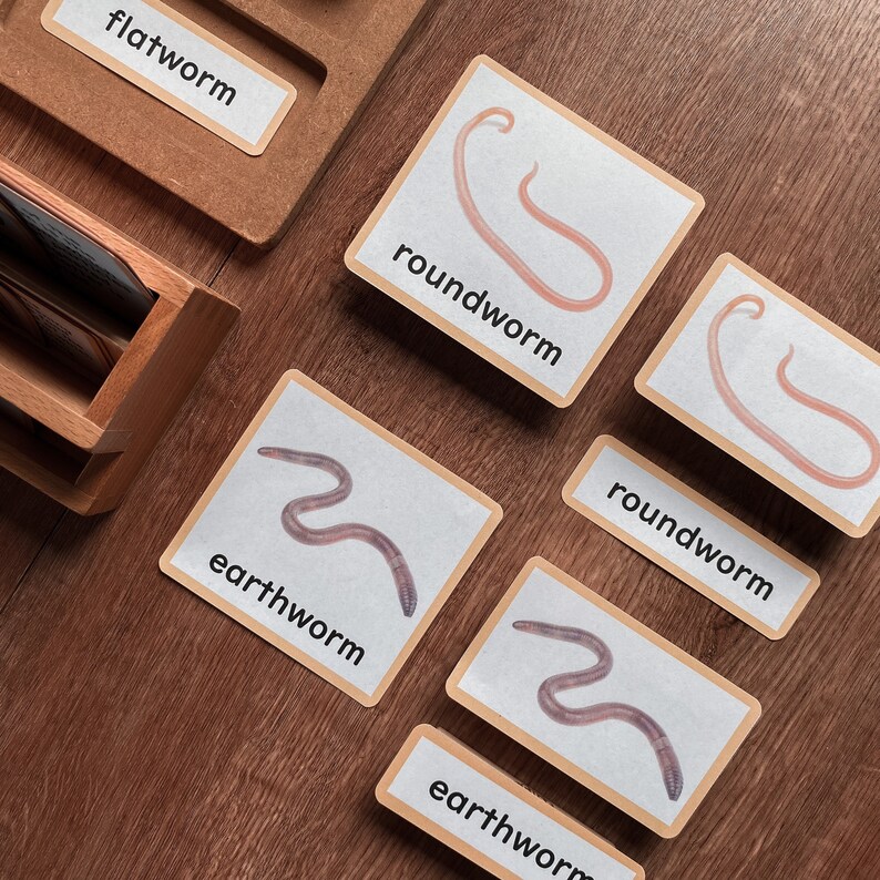WORMS Three Part Card Montessori Nomenclature 3-part Classified Card ...