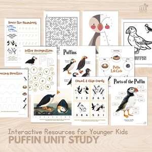 PUFFIN Unit Study (for 3-9) Preschool Activities Animal Fact File ...