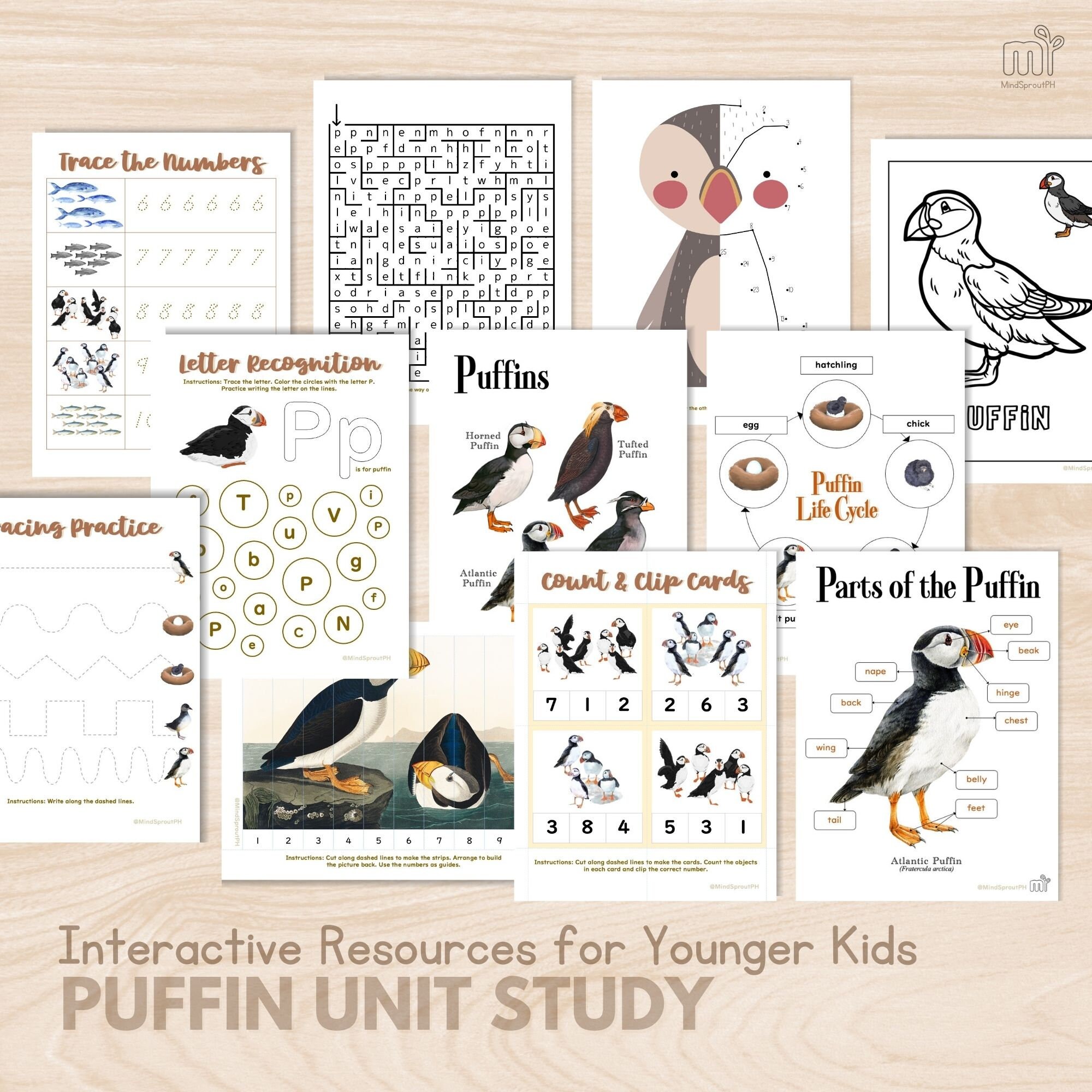 PUFFIN Unit Study (for 3-9) Preschool Activities Animal Fact File ...