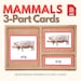 MAMMALS Zoology Unit Study Parts of Horse Montessori Nomenclature 5 ...