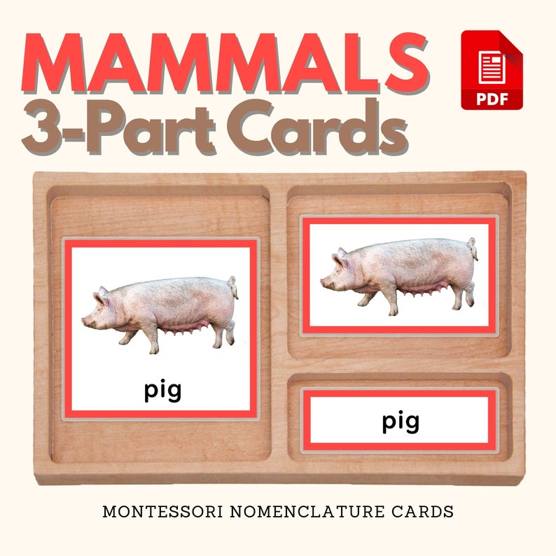 MAMMALS Zoology Unit Study Parts of Horse Montessori Nomenclature 5 ...