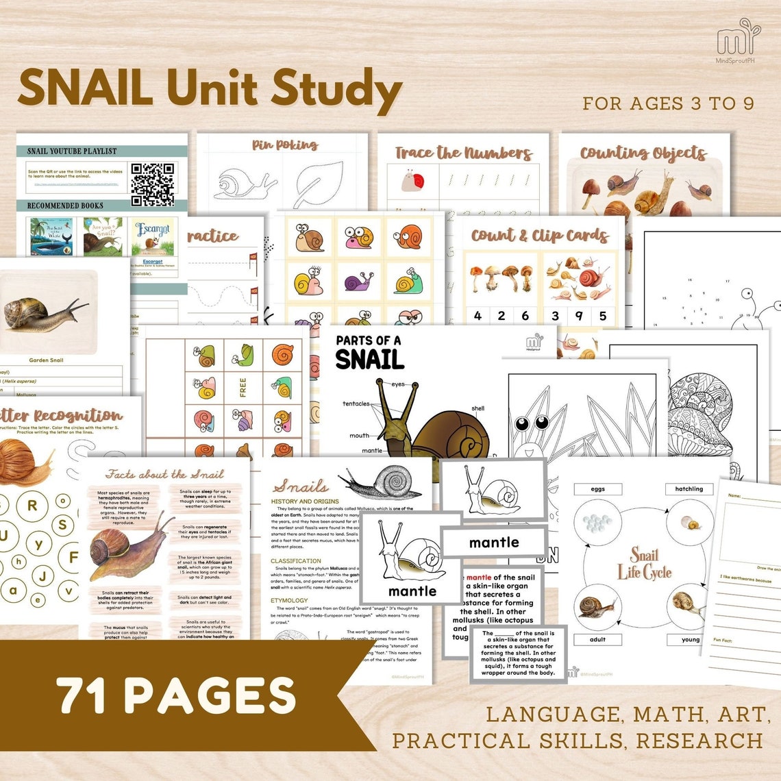 Snail Unit Study for 3-9 Preschool Activities Unit Research - Etsy