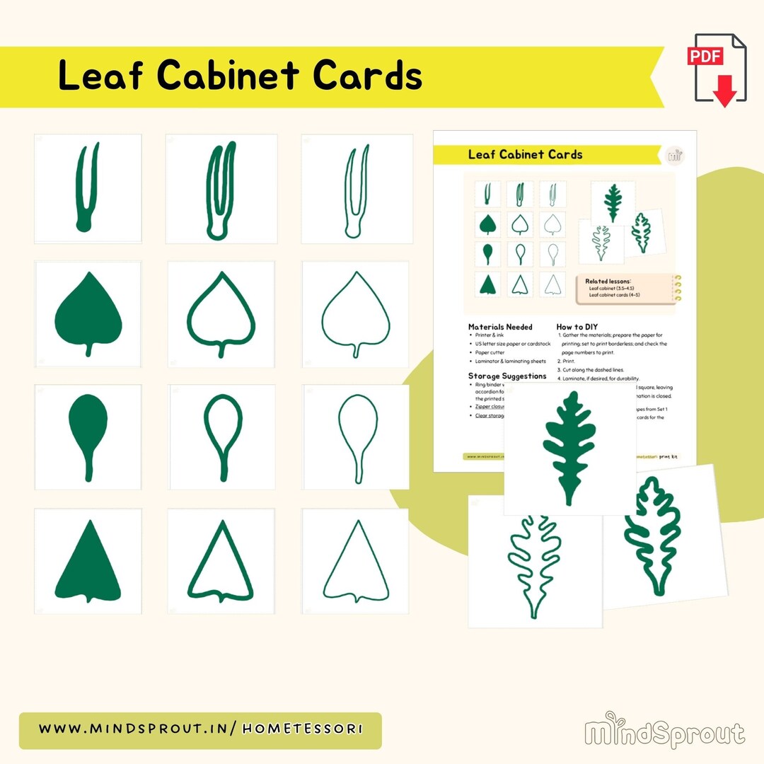 Botany Cabinet Solid Thick Thin Lines Montessori Sensorial Geometric ...