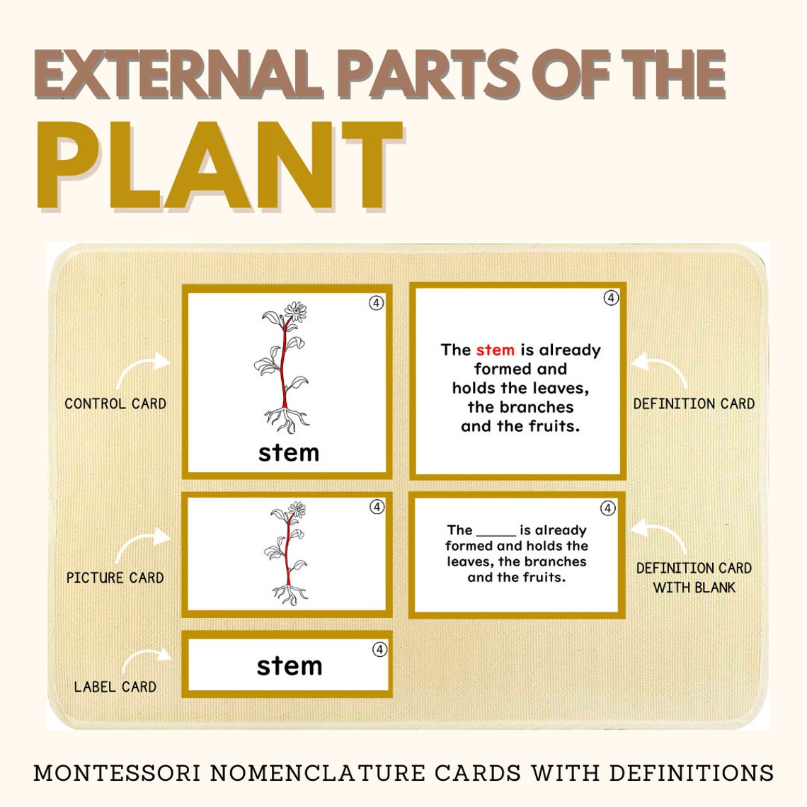 Plant LIFE CYCLE Part of Plant Montessori Botany Unit Study 5-part Card ...
