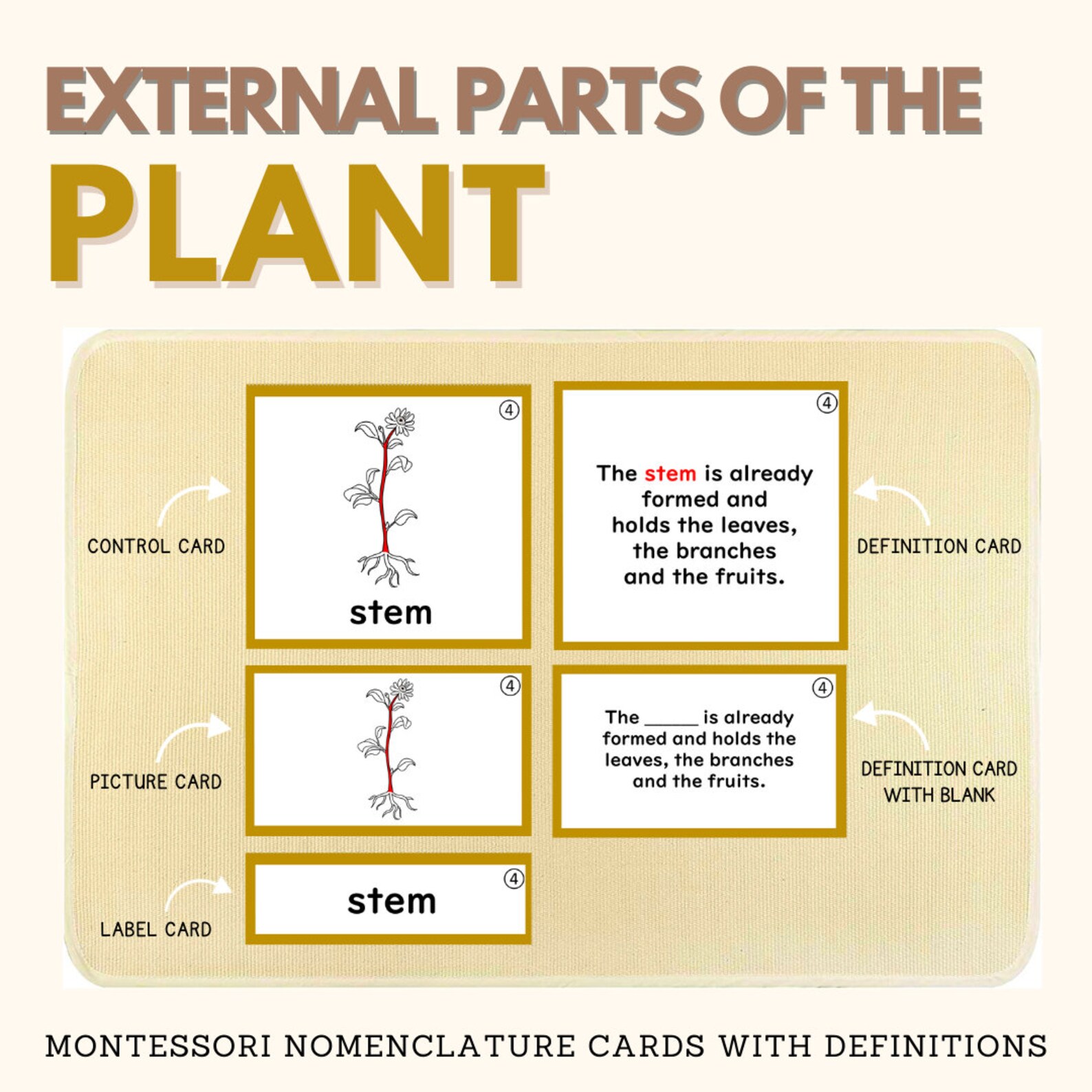 Plant LIFE CYCLE Part of Plant Montessori Botany Unit Study 5-part Card ...