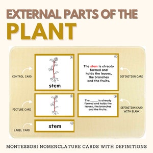 Plant LIFE CYCLE Part of Plant Montessori Botany Unit Study 5-part Card ...