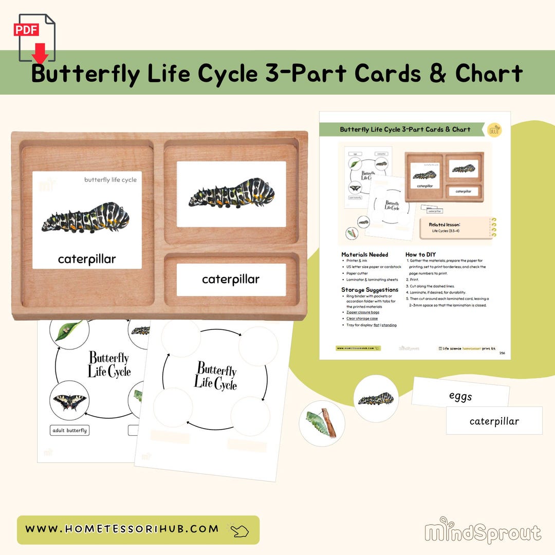 Ladybug Life Cycle 3-part Cards and Chart Zoology Montessori Printable ...