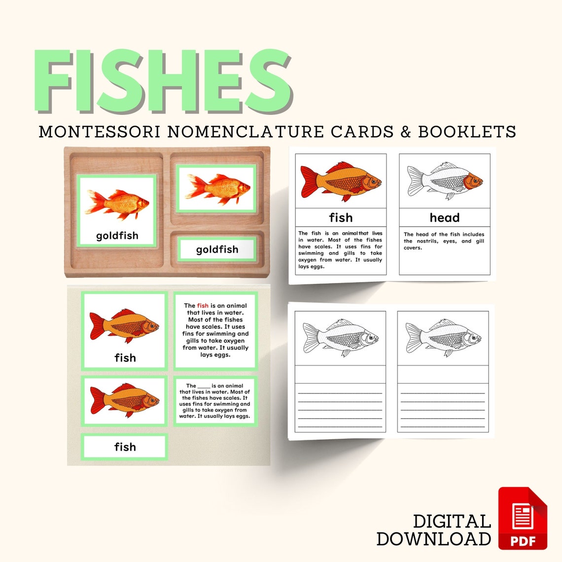 VERTEBRATES Montessori Zoology Unit Study Montessori Nomenclature 5 ...