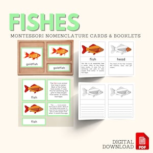 VERTEBRATES Montessori Zoology Unit Study Montessori Nomenclature 5 ...