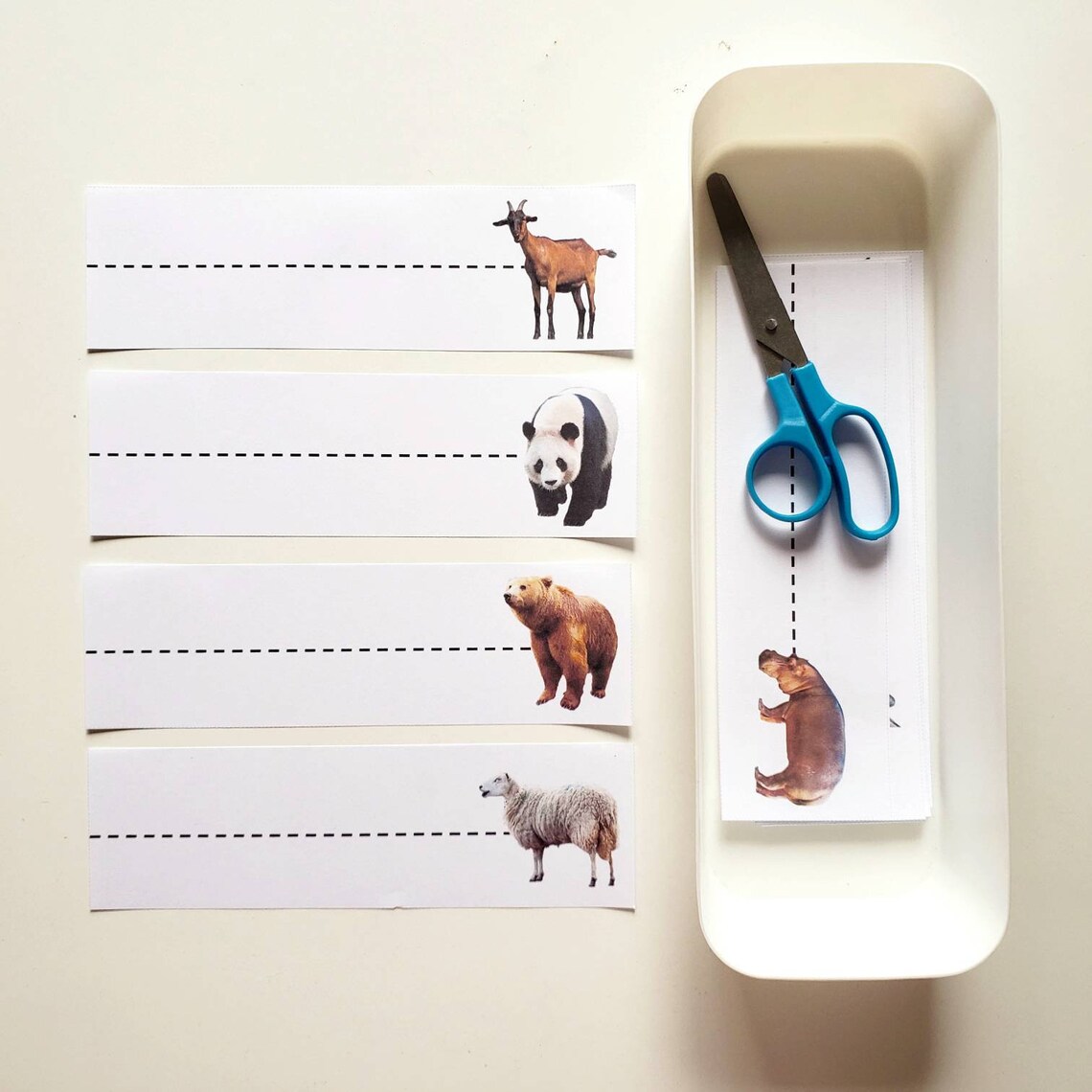 FARM & WILD ANIMALS Cutting Strips Sorting Mini Cards Scissors Cutting ...