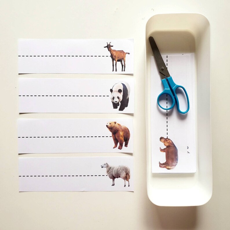 FARM & WILD ANIMALS Cutting Strips Sorting Mini Cards Scissors Cutting ...