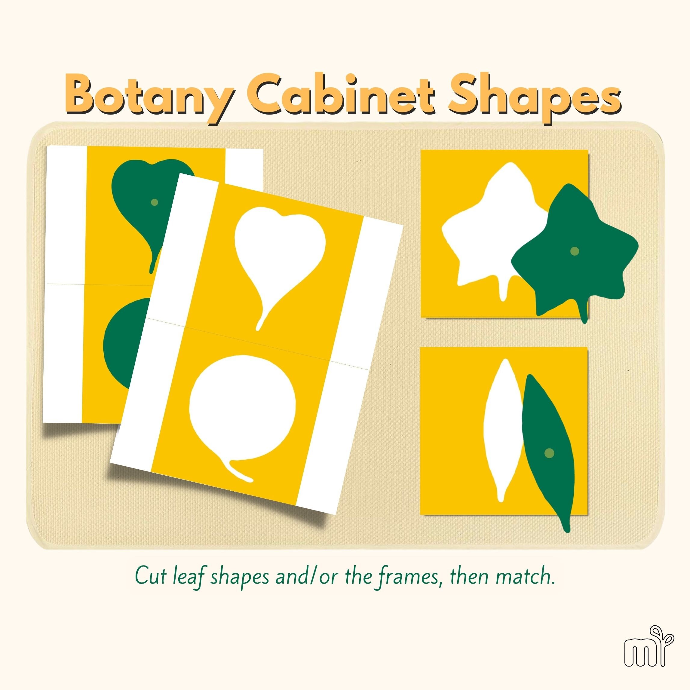 Botany Cabinet Shapes Montessori Botany Puzzle Cards Montessori Leaf ...