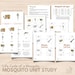 MOSQUITO Unit Study Bundle Preschool Activities Life Cycle of Mosquito ...