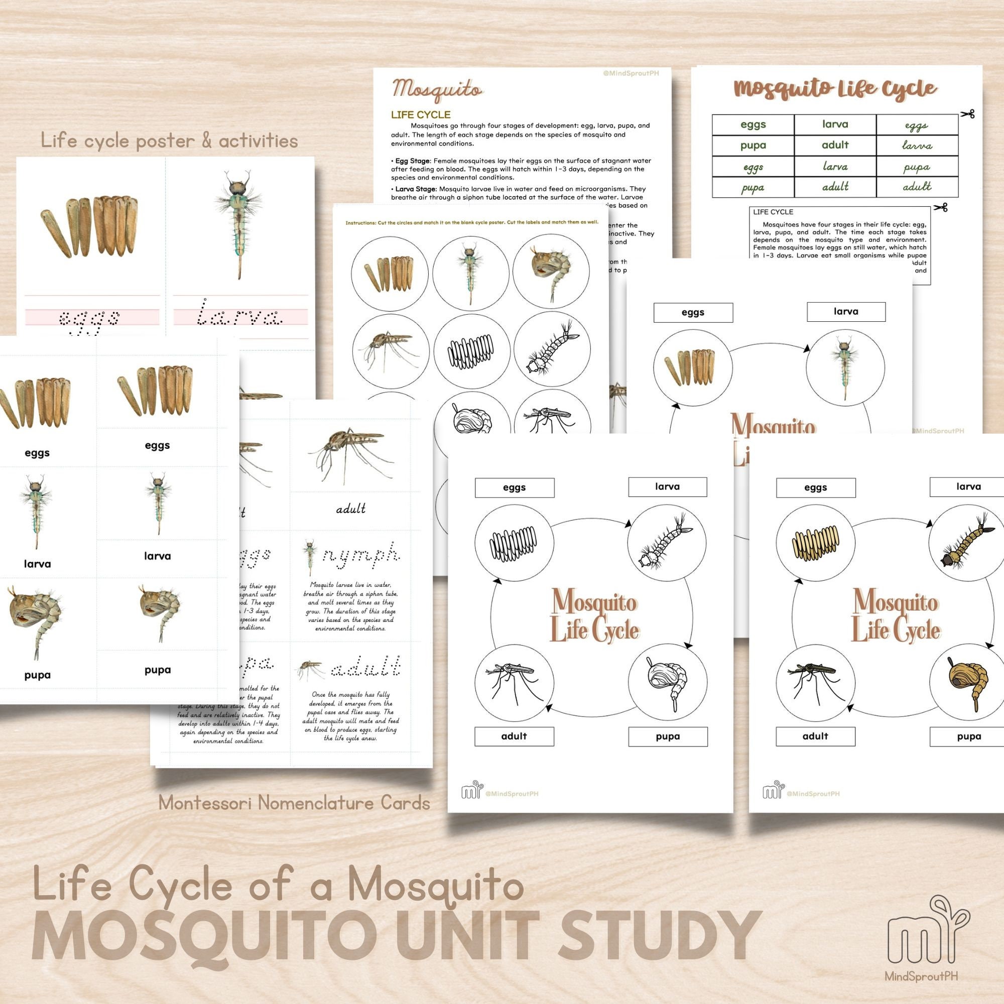 MOSQUITO Unit Study Bundle Preschool Activities Life Cycle of Mosquito ...