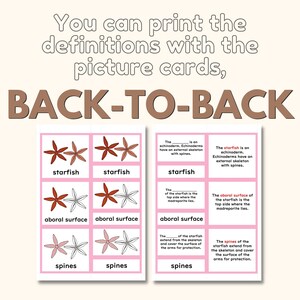 ECHINODERMS Zoology Invertebrates Study Parts of Starfish Montessori ...