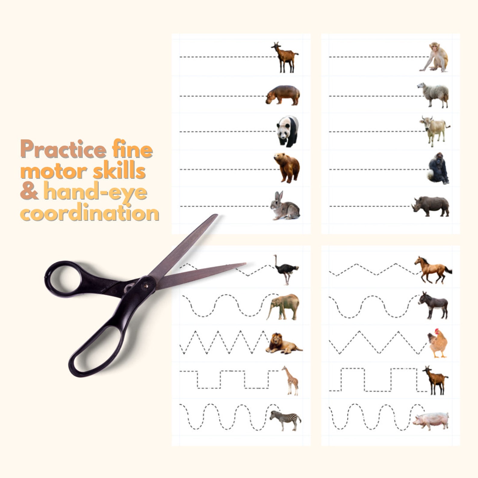 FARM & WILD ANIMALS Cutting Strips Sorting Mini Cards Scissors Cutting ...