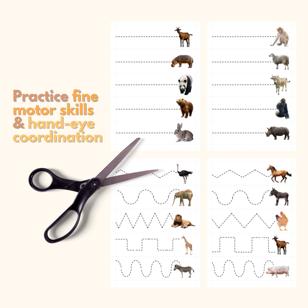 FARM & WILD ANIMALS Cutting Strips Sorting Mini Cards Scissors Cutting ...