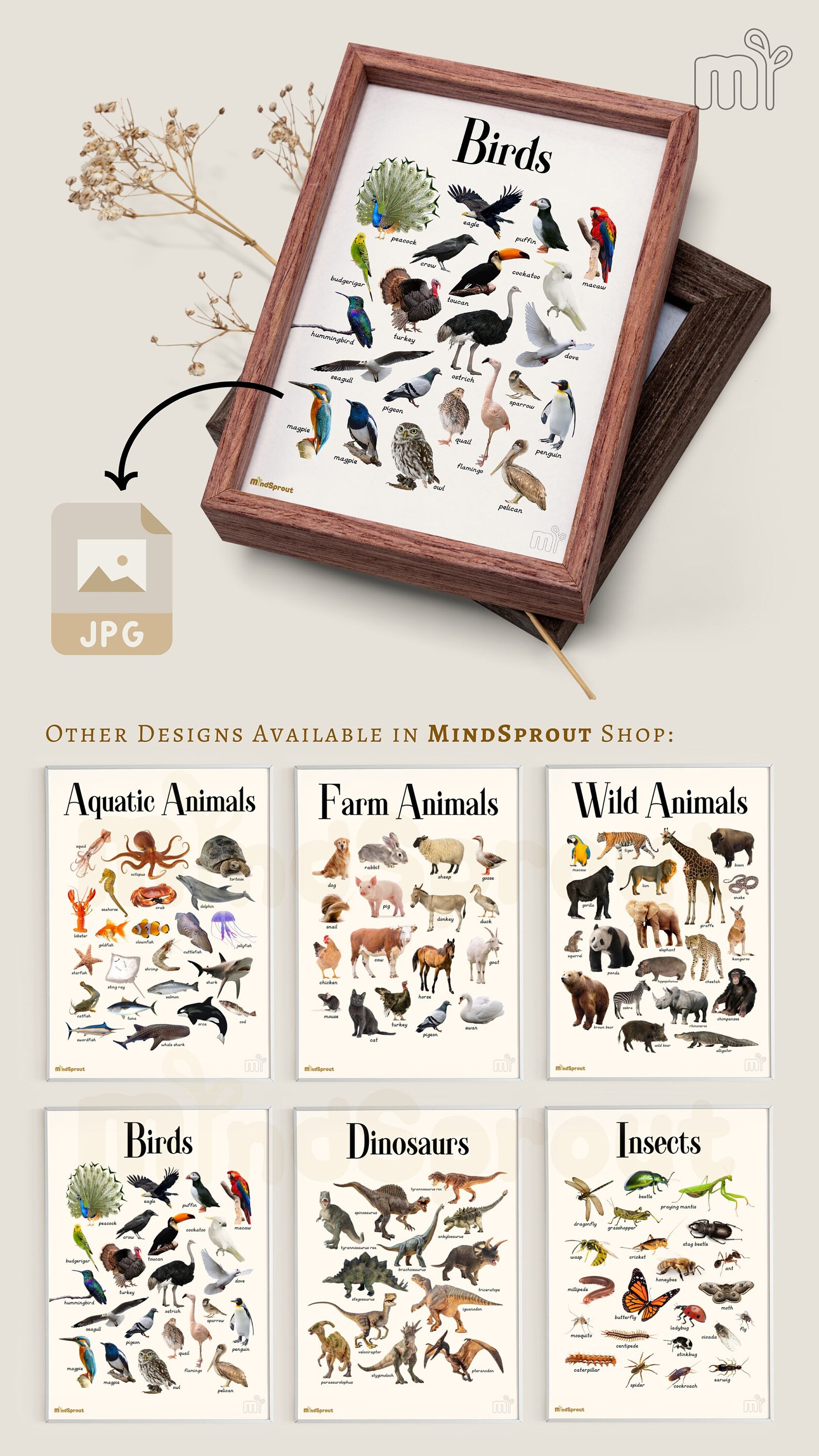 Educational Wall Art Montessori Chart Birds Poster Home Decor for ...