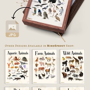 Educational Wall Art Montessori Chart Birds Poster Home Decor for ...