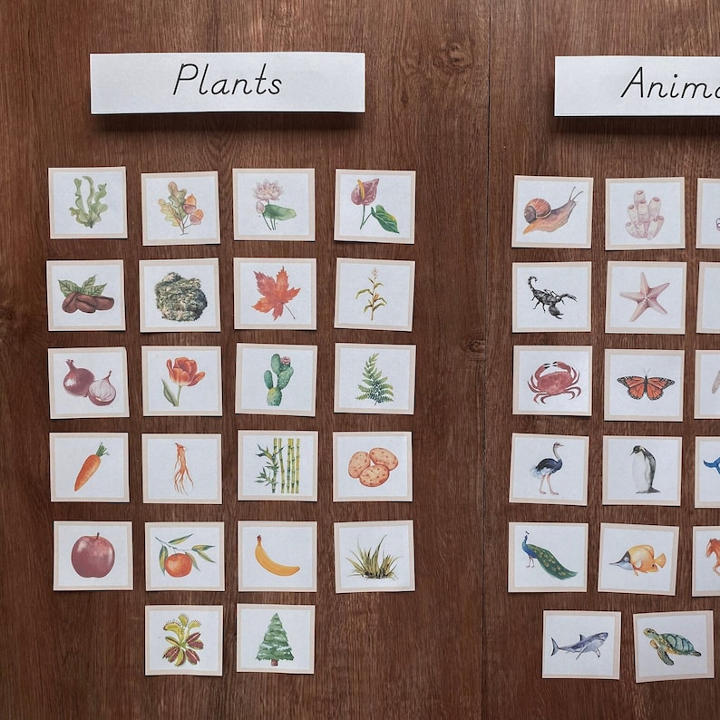 PLANT and ANIMAL Sorting Cards Game Montessori Activity Preschool ...