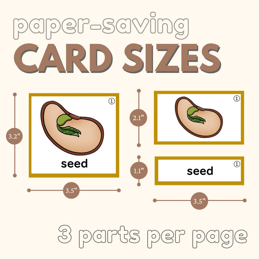 Plant LIFE CYCLE Part of Plant Montessori Botany Unit Study 5-part Card ...