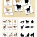 FARM & WILD ANIMALS Cutting Strips Sorting Mini Cards Scissors Cutting ...