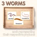 WORMS Three Part Card Montessori Nomenclature 3-part Classified Card ...