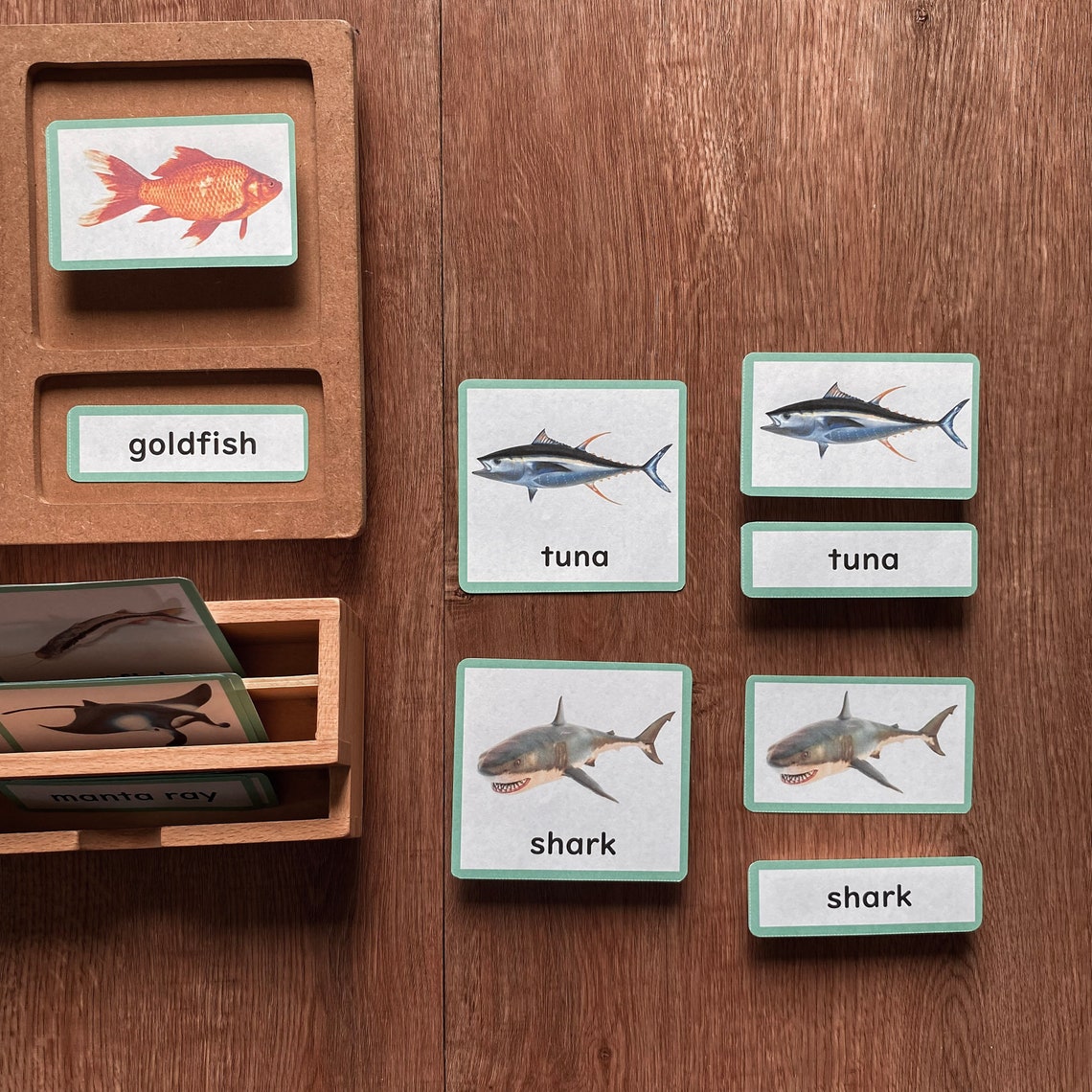 FISH Unit Study Three Part Card Montessori Nomenclature 3-part ...