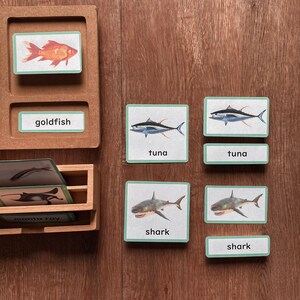 FISH Unit Study Three Part Card Montessori Nomenclature 3-part ...