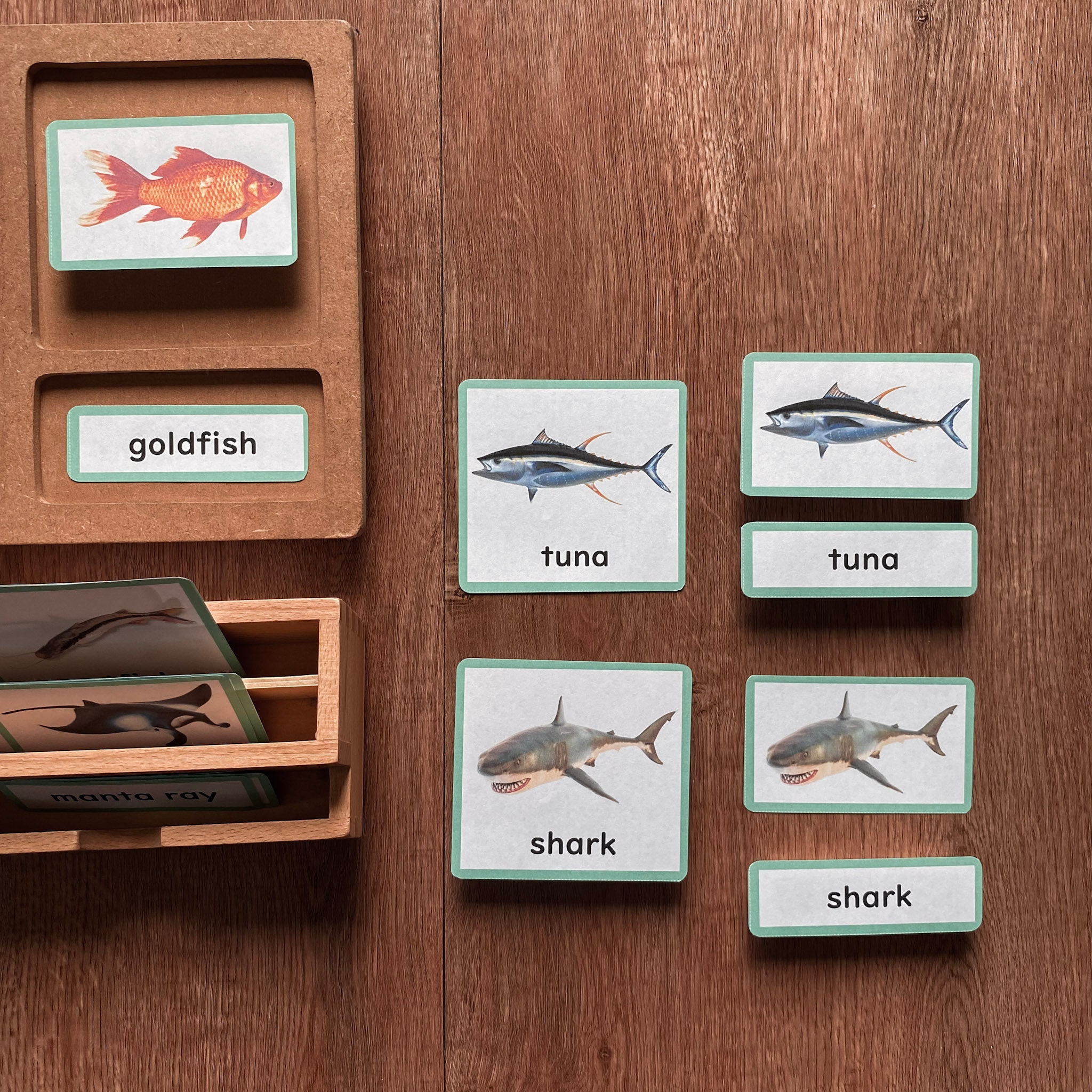 FISH Unit Study Three Part Card Montessori Nomenclature 3-part ...