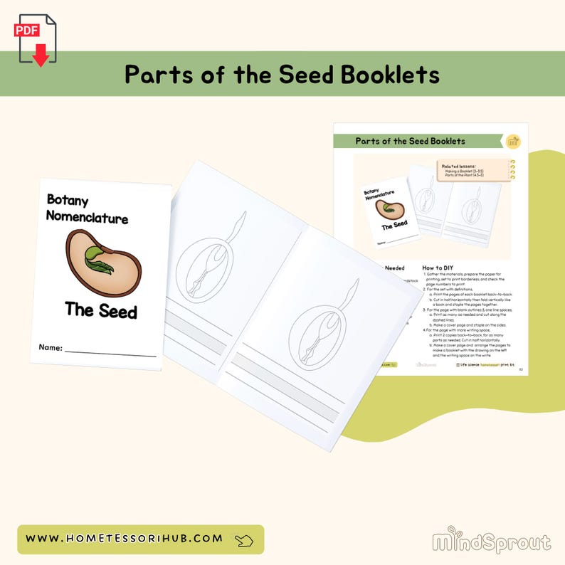 Parts of the Seed, Seedling, Plant Cards, Chart & Booklets Botany ...