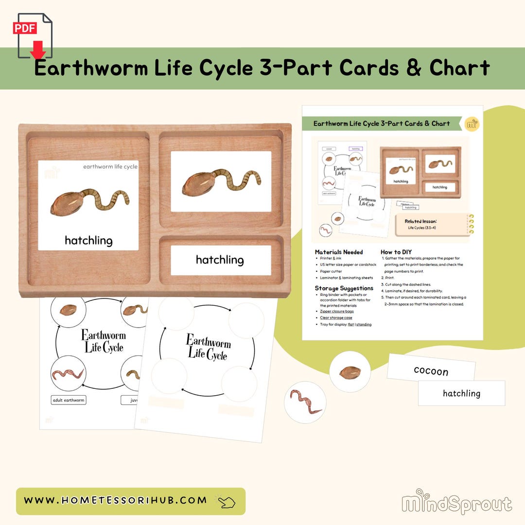 Earthworm Life Cycle 3-part Cards and Chart Zoology Montessori ...