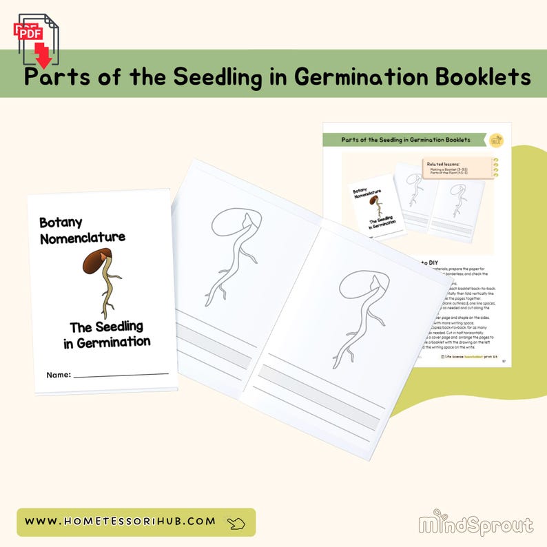 Parts of the Seed, Seedling, Plant Cards, Chart & Booklets Botany ...