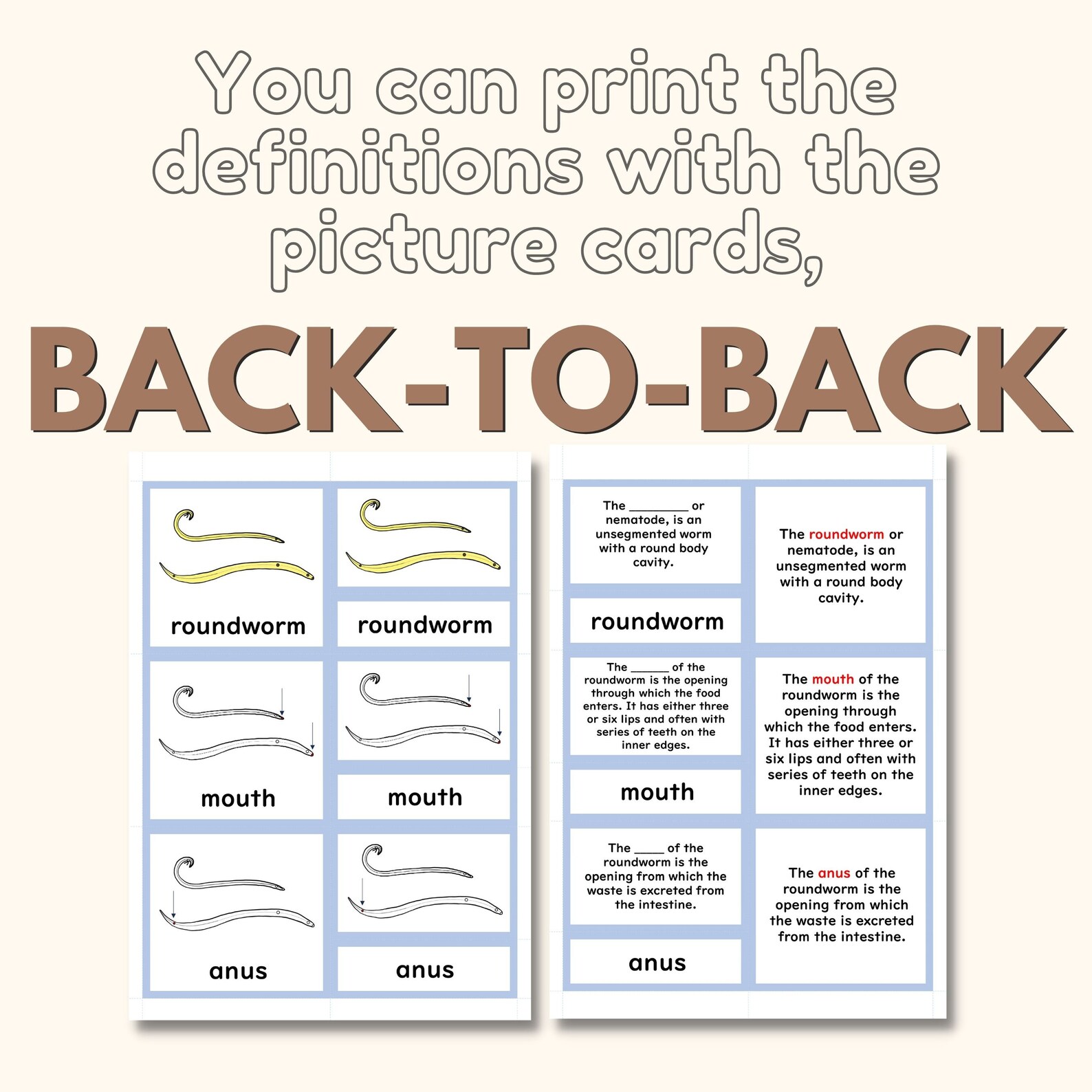 WORMS Zoology Unit Study Parts of Earthworm Flatworm Roundworm ...