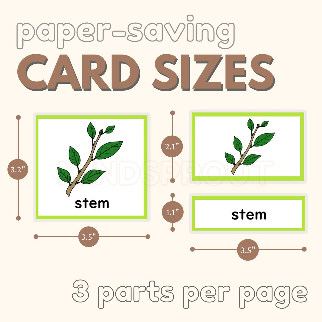 Parts of the STEM Montessori Botany Unit Study 5-part Card Definition ...