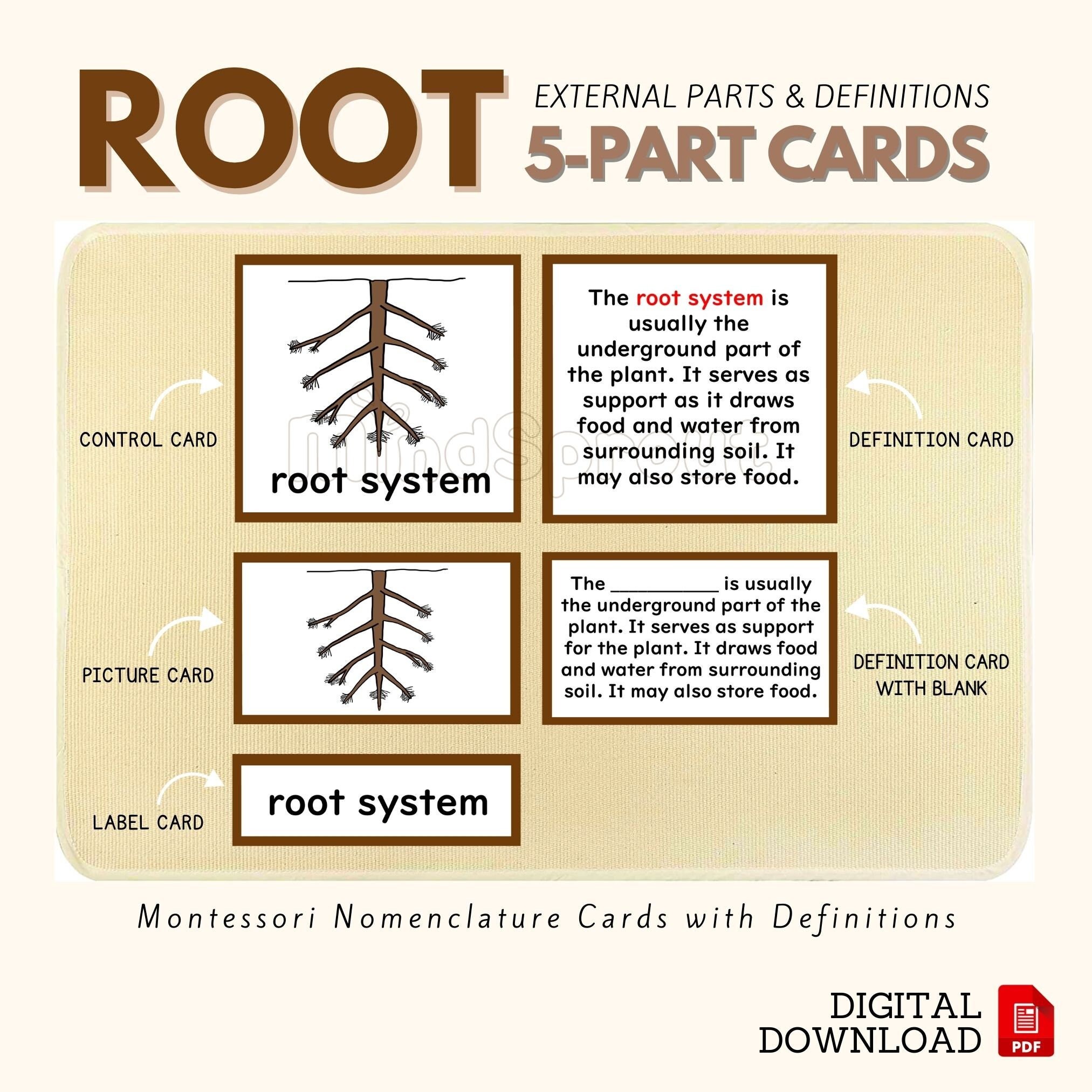 Parts of the ROOT Montessori Botany Unit Study 5-part Card Definition ...