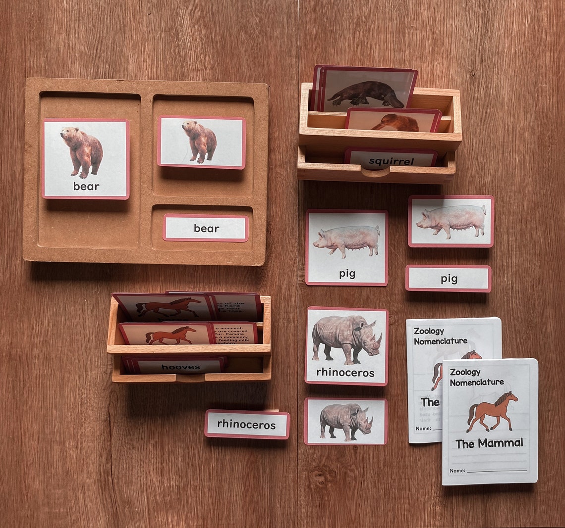 MAMMALS Zoology Unit Study Parts of Horse Montessori Nomenclature 5 ...