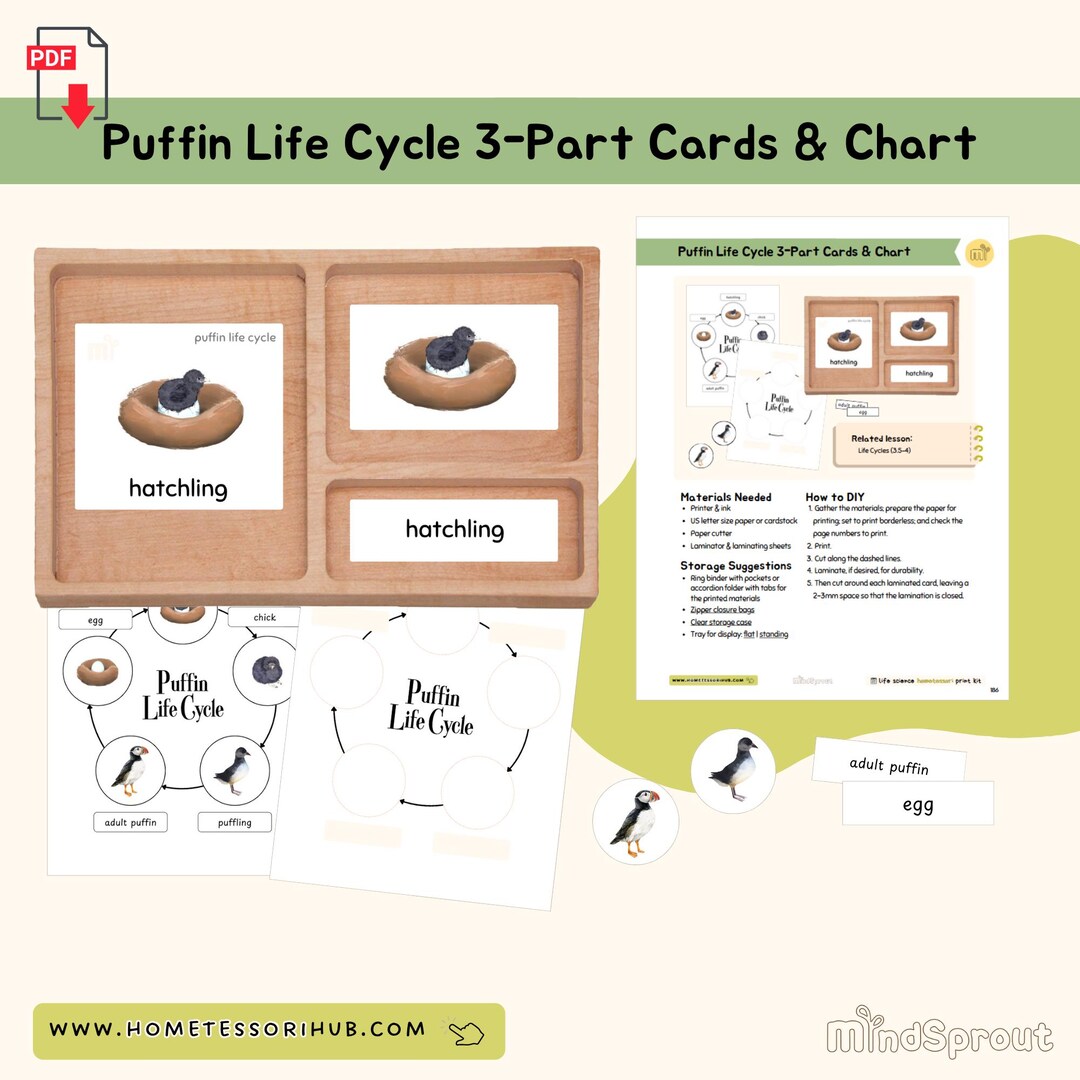 Puffin Life Cycle 3-part Cards & Chart Zoology Montessori Printable ...