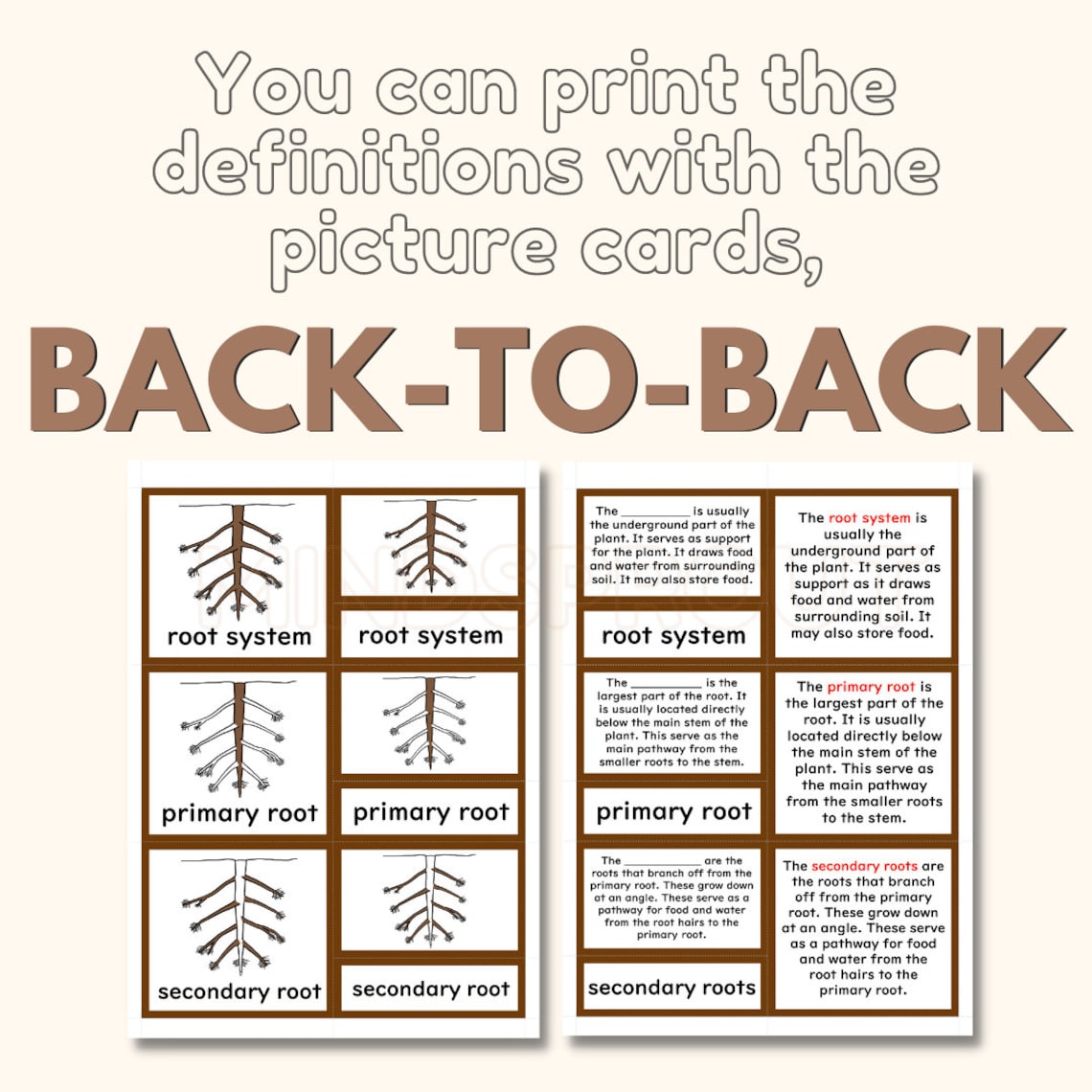 Parts of the ROOTS Montessori Botany Tree Root Unit Study 5-part Card ...