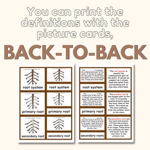 Parts of the ROOTS Montessori Botany Tree Root Unit Study 5-part Card ...