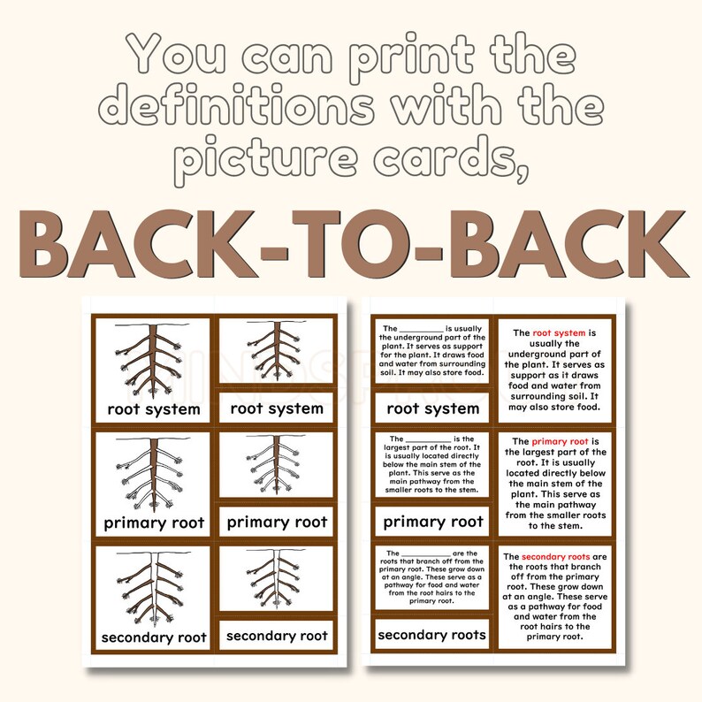 Parts of the ROOTS Montessori Botany Tree Root Unit Study 5-part Card ...