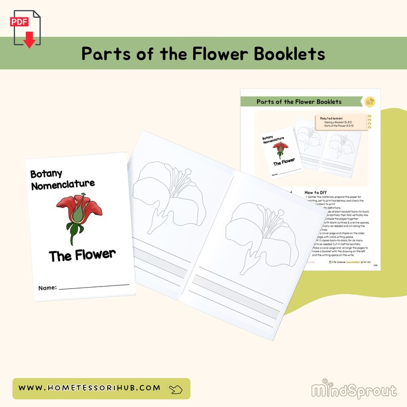 Parts of the Flower Cards, Chart & Booklets Botany Montessori Printable ...