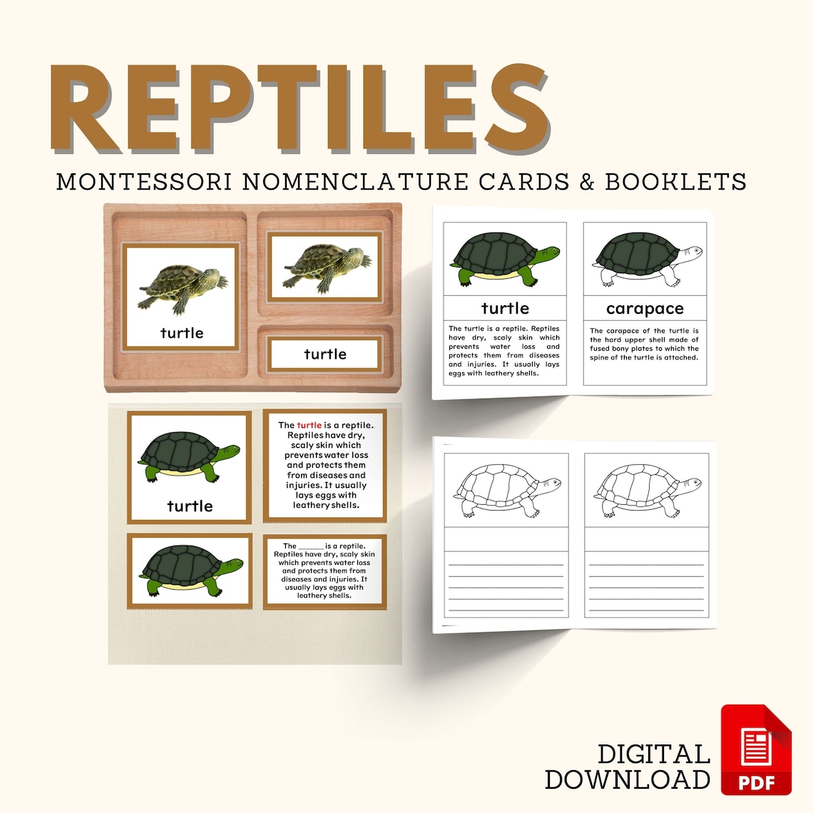 VERTEBRATES Montessori Zoology Unit Study Montessori - Etsy