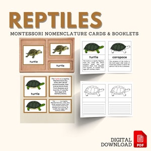 VERTEBRATES Montessori Zoology Unit Study Montessori Nomenclature 5 ...