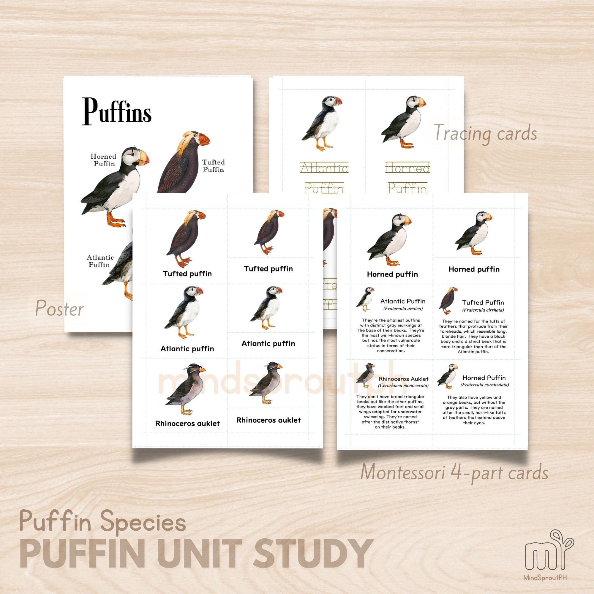 PUFFIN Unit Study for Elementary Parts of the PUFFIN Species Life Cycle ...