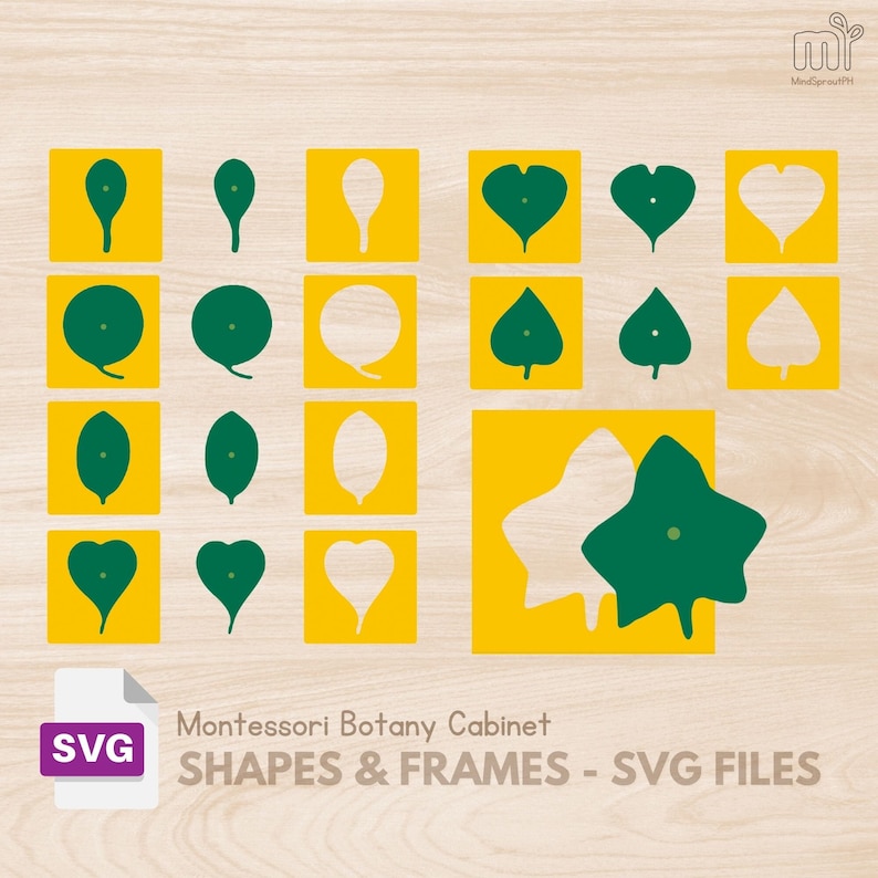 SVG Botany Cabinet Shapes Montessori Botany Puzzle Montessori Leaf ...