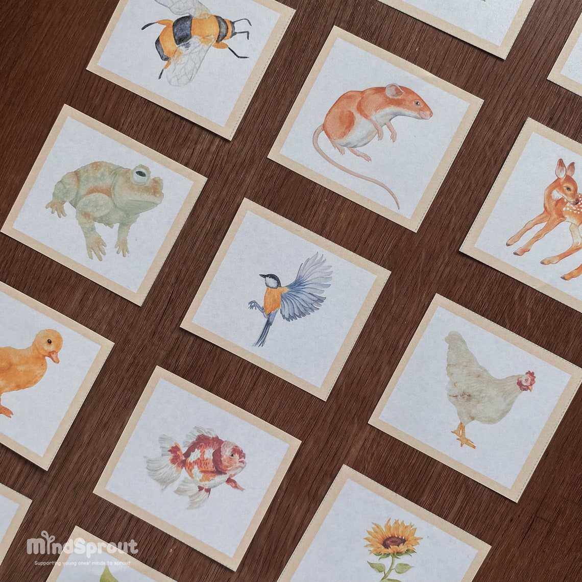 LIVING and Non-living Sorting Cards Montessori Activity Preschool ...