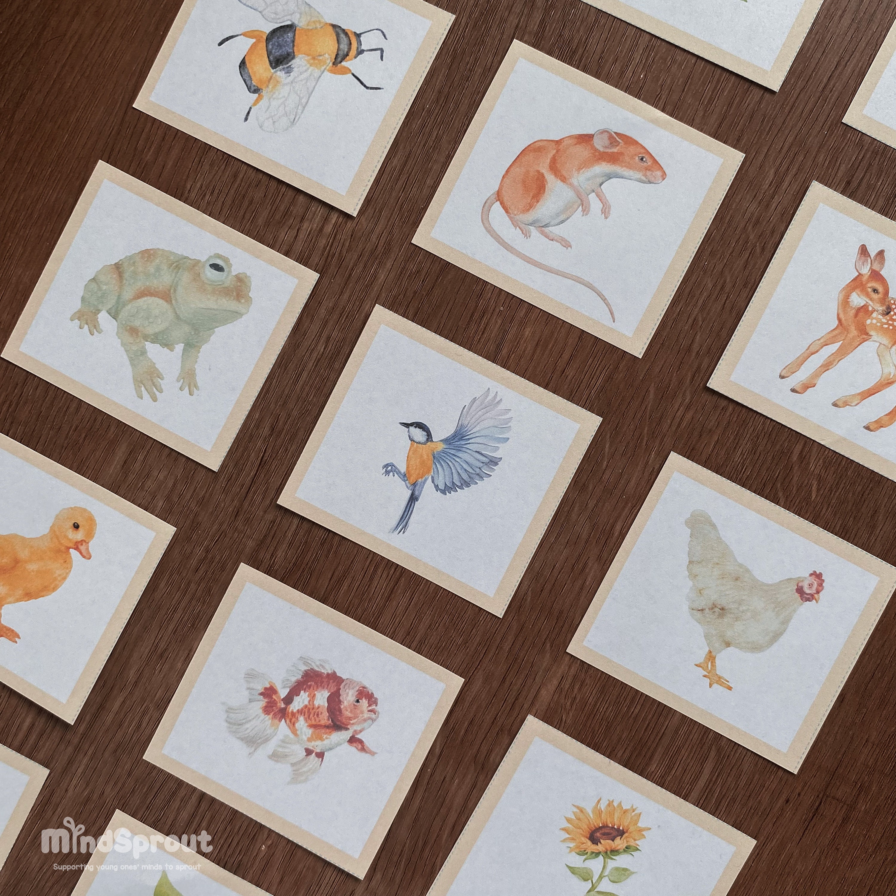 LIVING and Non-living Sorting Cards Montessori Activity Preschool ...